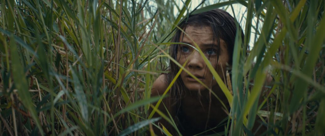 Kráľovstvo planéty opíc