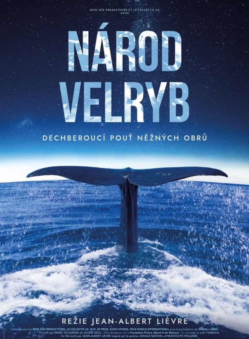 Kultúrny domček Obišovce | kamdomesta.sk